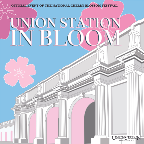 Union Station in Bloom | Union Station D.C.